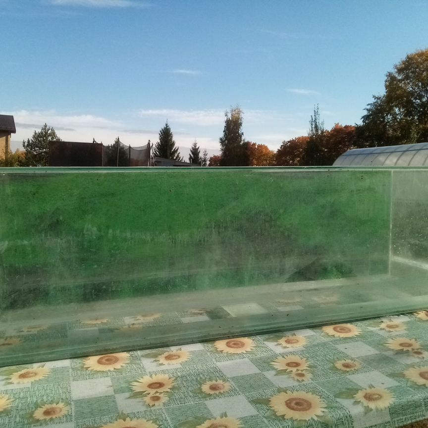 Аквариум100литров