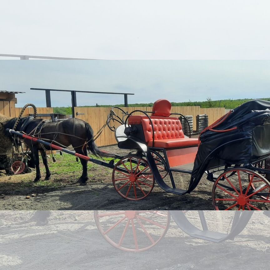 Карета для лошади