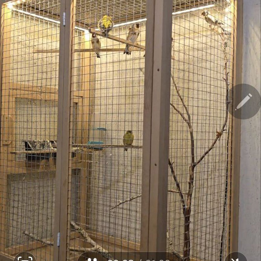 Вальера для птиц