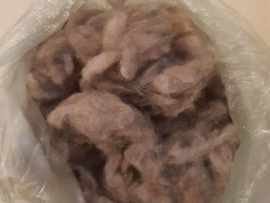 Шерсть шпица