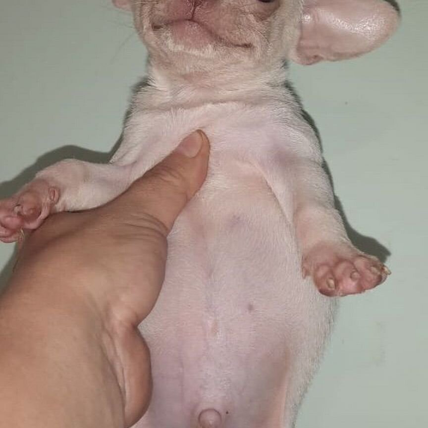 Очень красивый и нежный мальчик