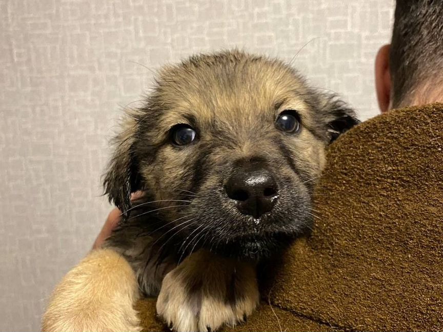 Этим ребятишкам с промзоны нужен теплый дом