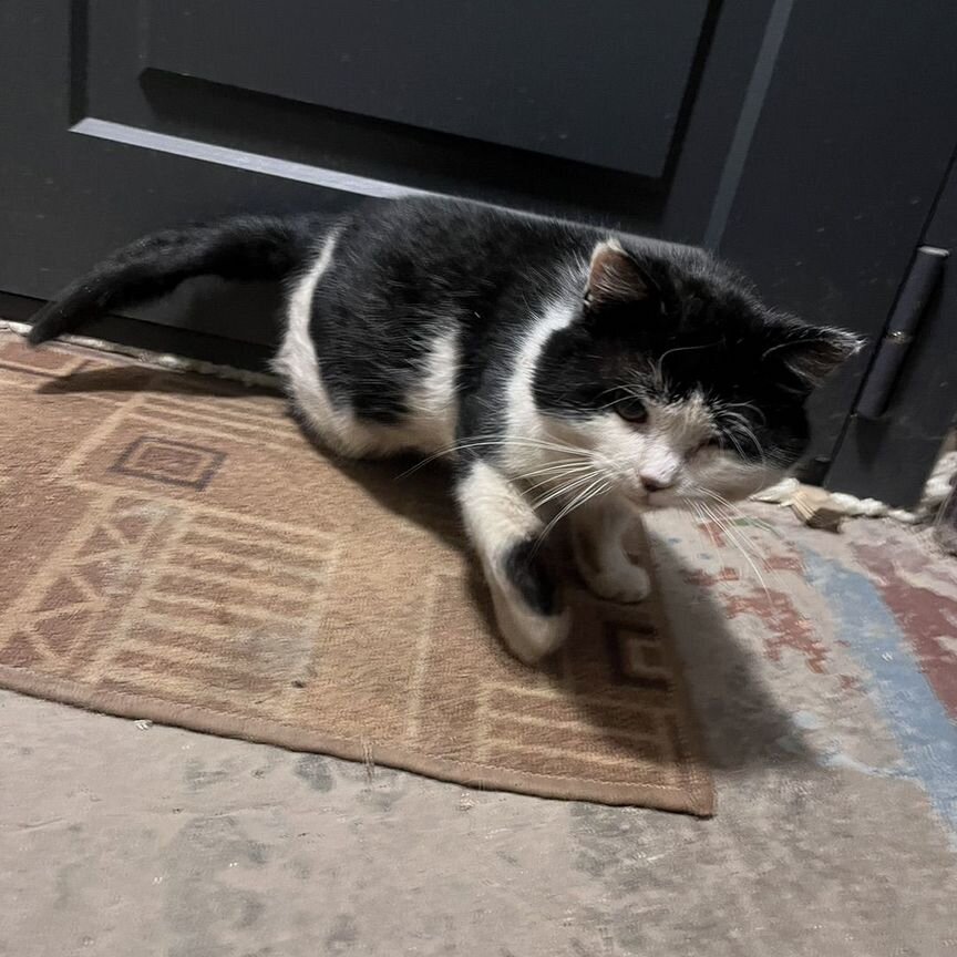 Ищу небезразличных людей с добрым сердцем