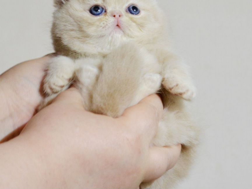 Малышка Дынька