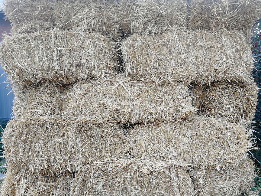 Сено солома в тюках