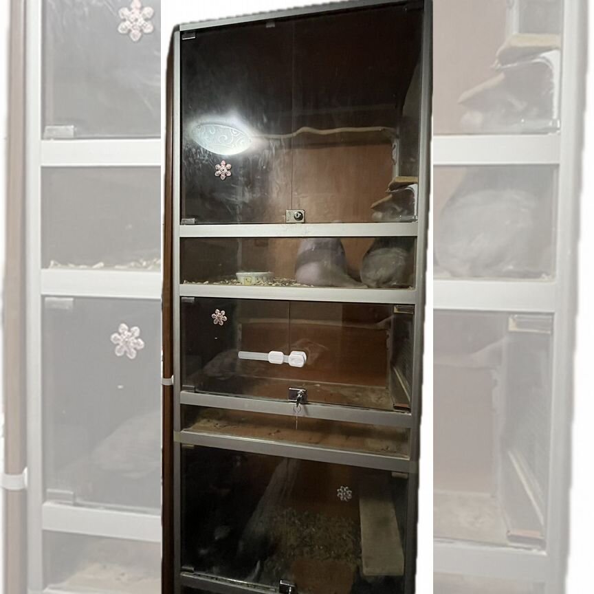 Отдам бесплатно витрину для шиншилл