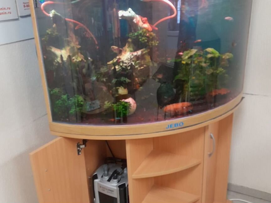 Продажа углового аквариума 200 литров jebo
