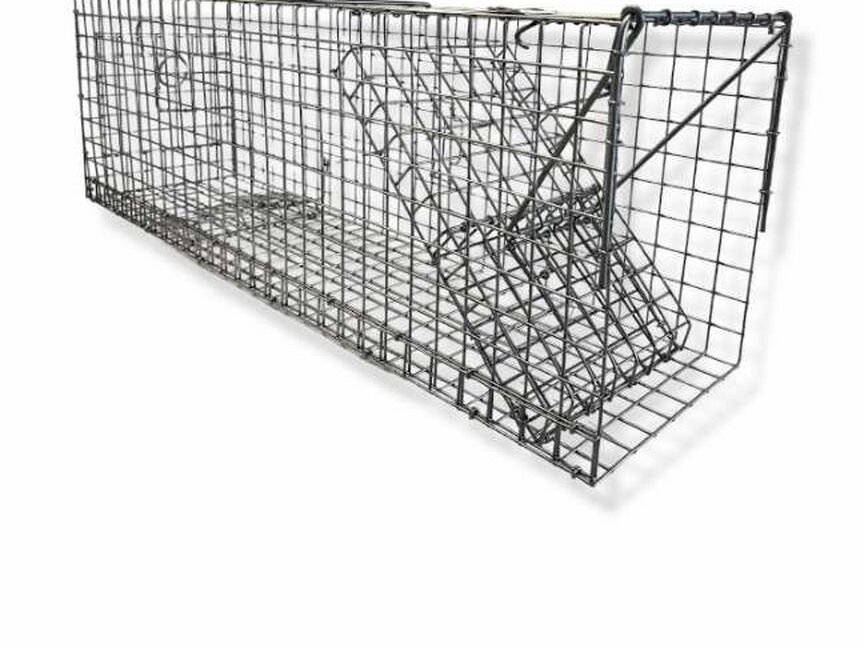 Ловушка для кошек (живоловка)