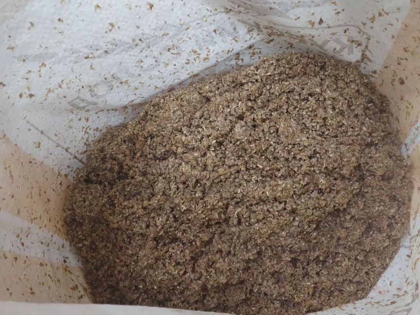 Пивная дробина (влажная)