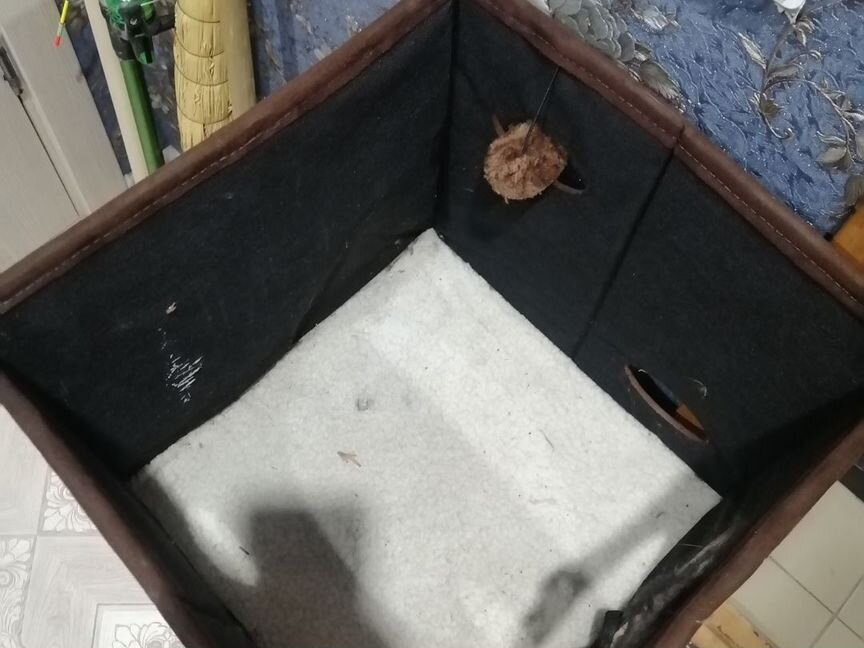 Кошкин домик