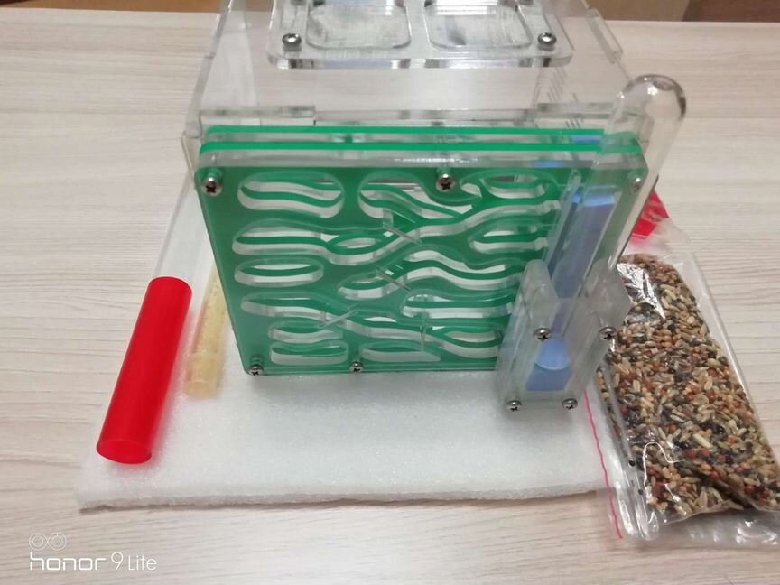 Муравьиная ферма бу