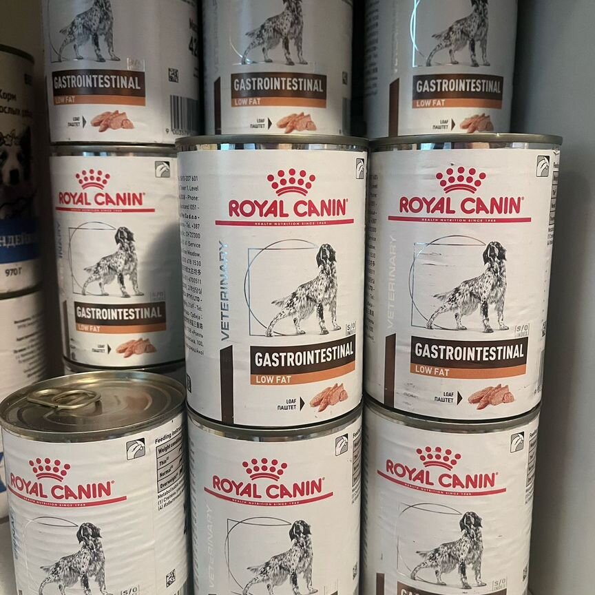 Консервы для собак royal canin, brit, organix