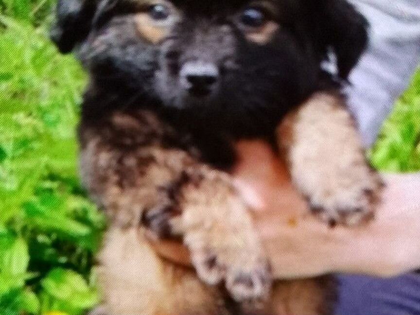 Славный мальчишка