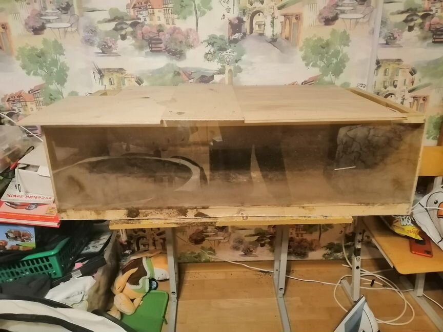 Самодельный террариум