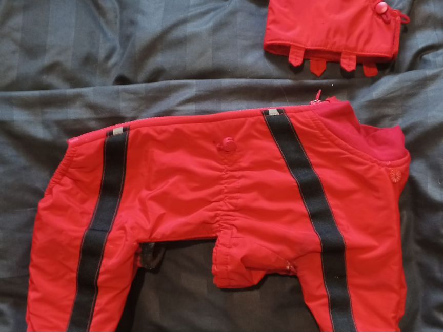 Комбинезон для маленькой собаки