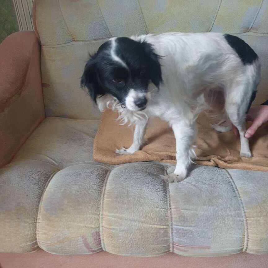 Девочка в добрые ручки