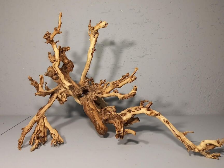 Коряги