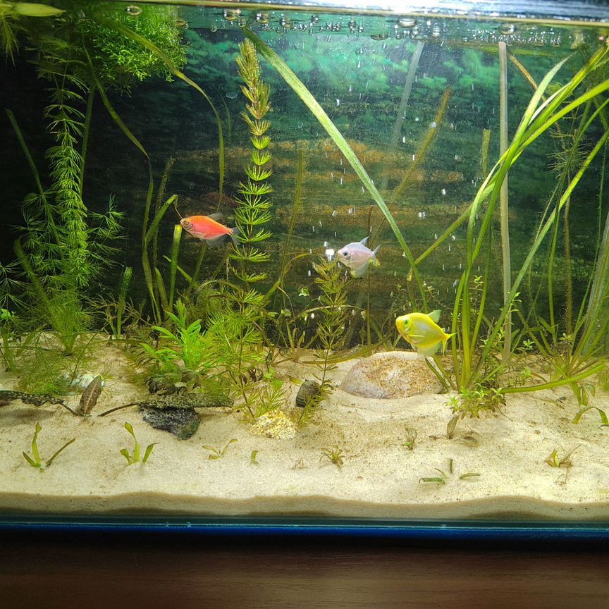 Аквариум 40 л
