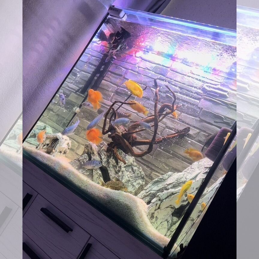 Аквариум с тумбой 340 литров