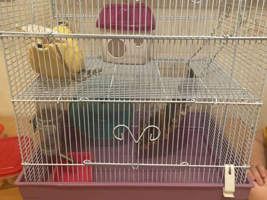 Клетка для хомяка