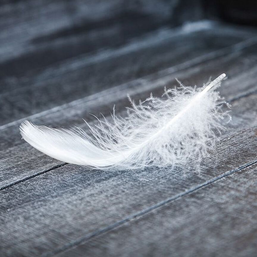 Продам пух перо гусиное