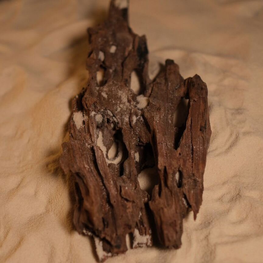 Декор Природная коряга