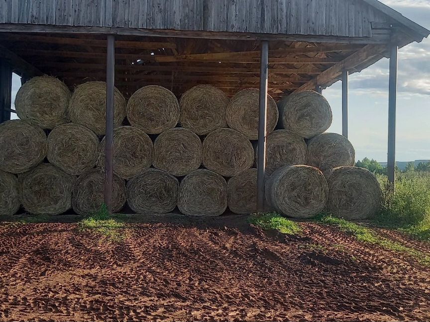 Сено в рулонах