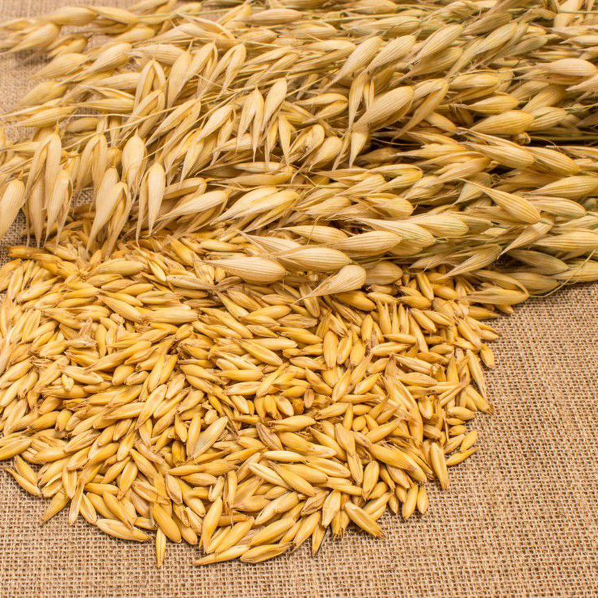 Овес хлопья Геркулес развесом Б.Козино с доставкой