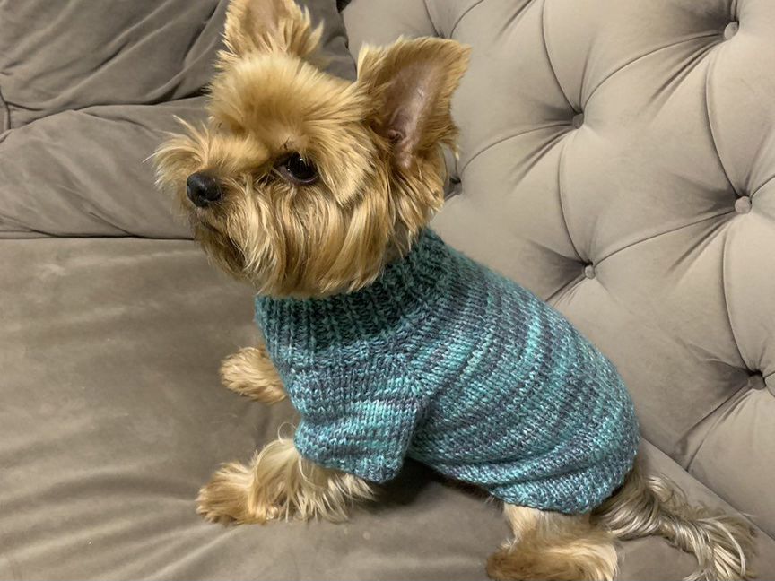 Одежда для собак мелких и средних пород