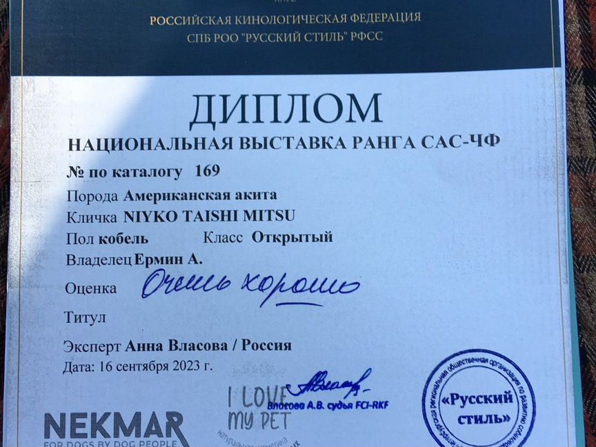 Кобель для вязки