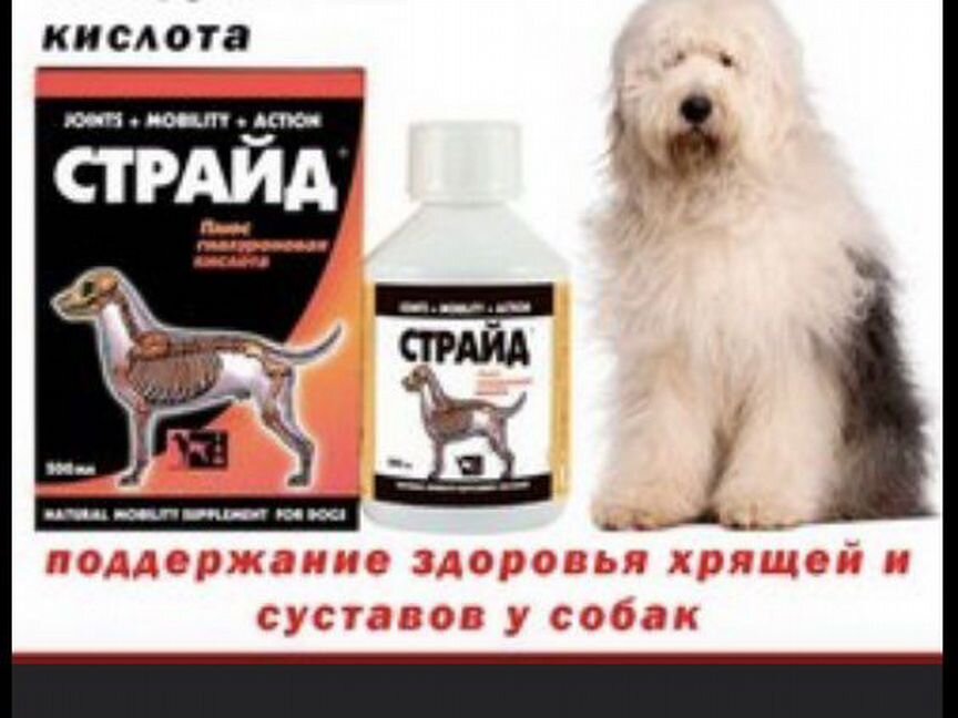 Корм для собак