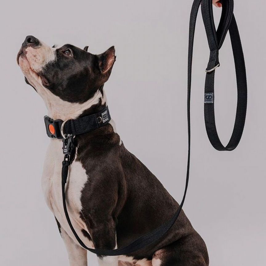 Аммуниция для собак новая