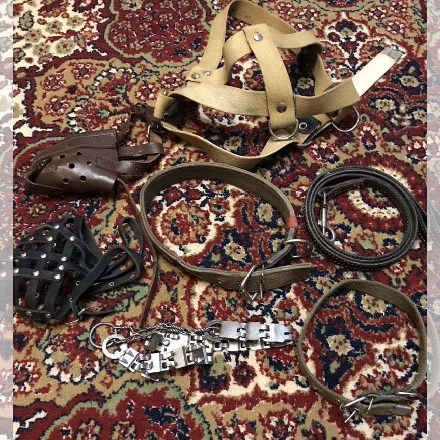 Намордник, ошейник,поводок,для большой собаки