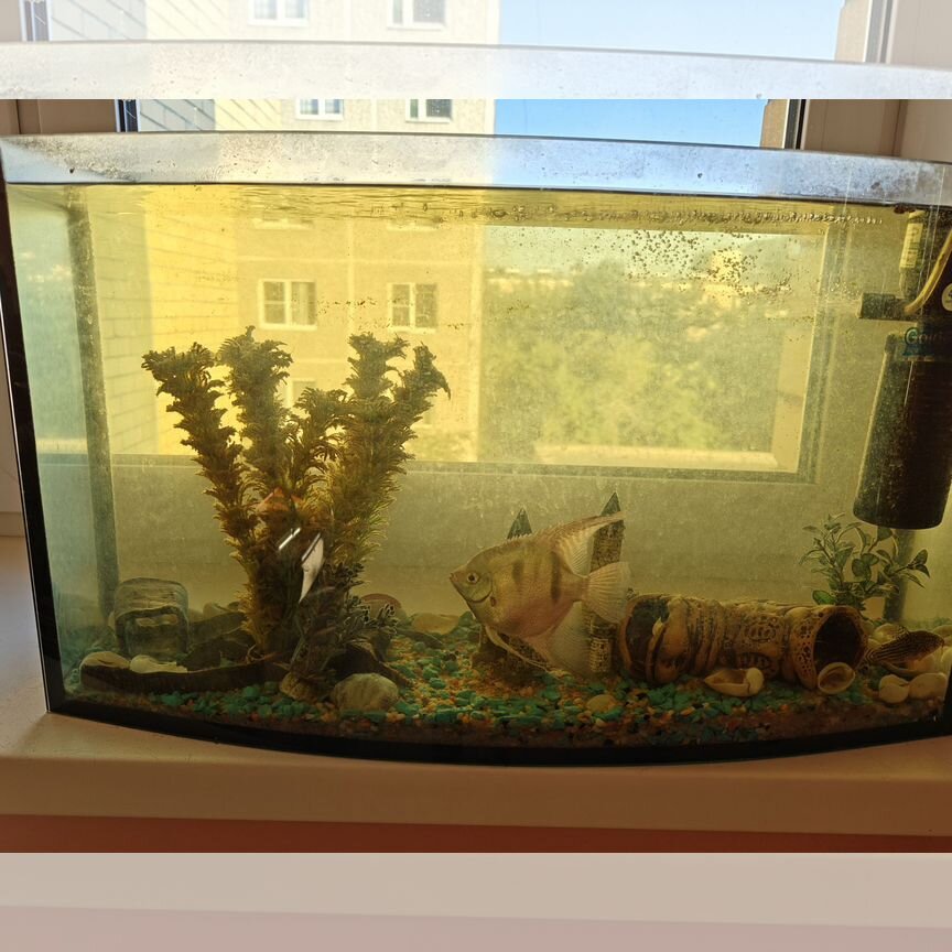 Аквариум