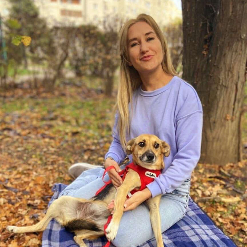 Какая прекрасная Жужжа