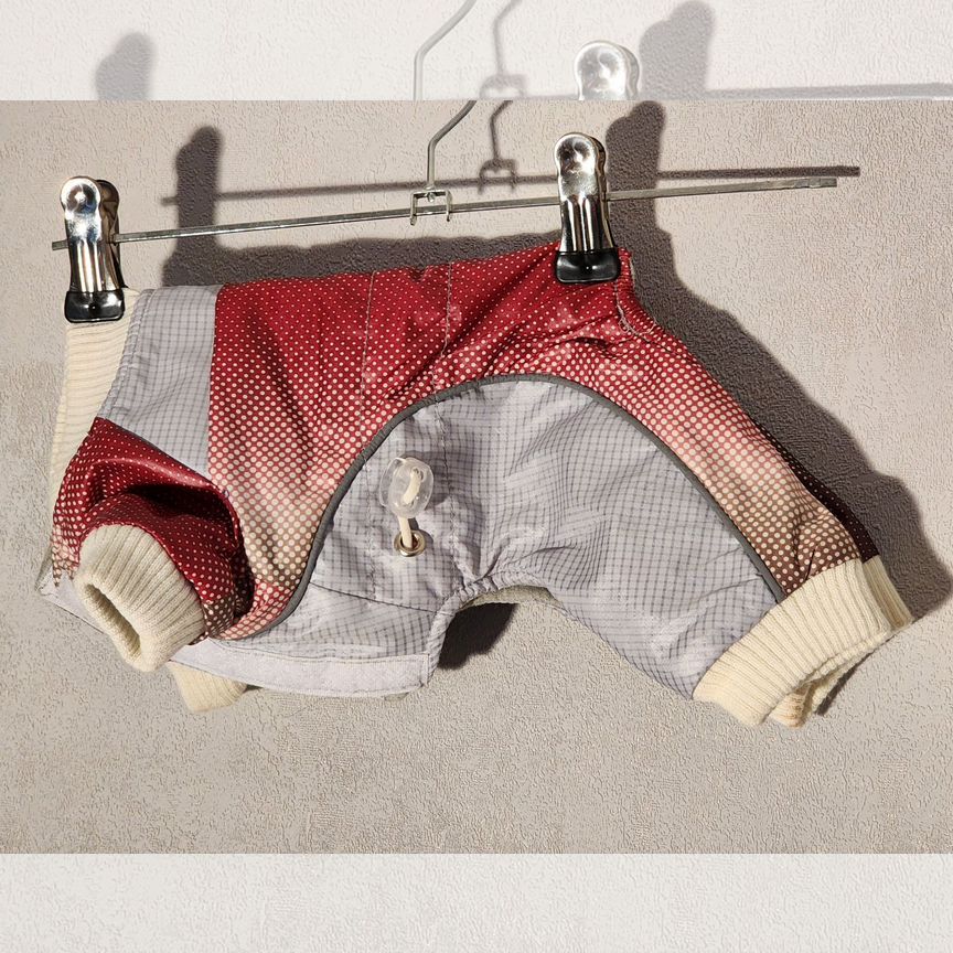 Костюм на щенка xs