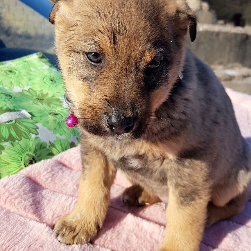 Мальчик красавчик ищет дом