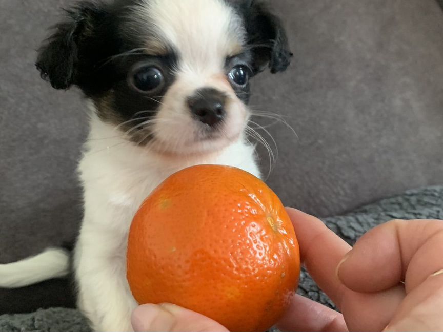 Мальчик спальчик