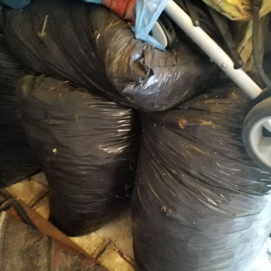 Продаю сено