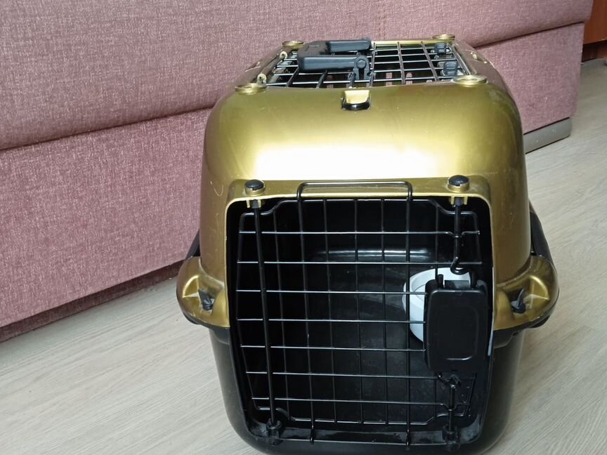 Переноска для мелких животных жесткая (аренда)