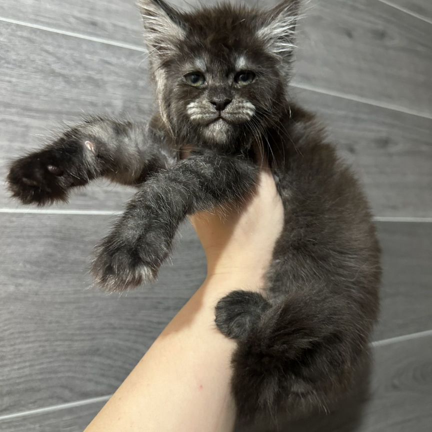 Мальчик мейн кун черный дым