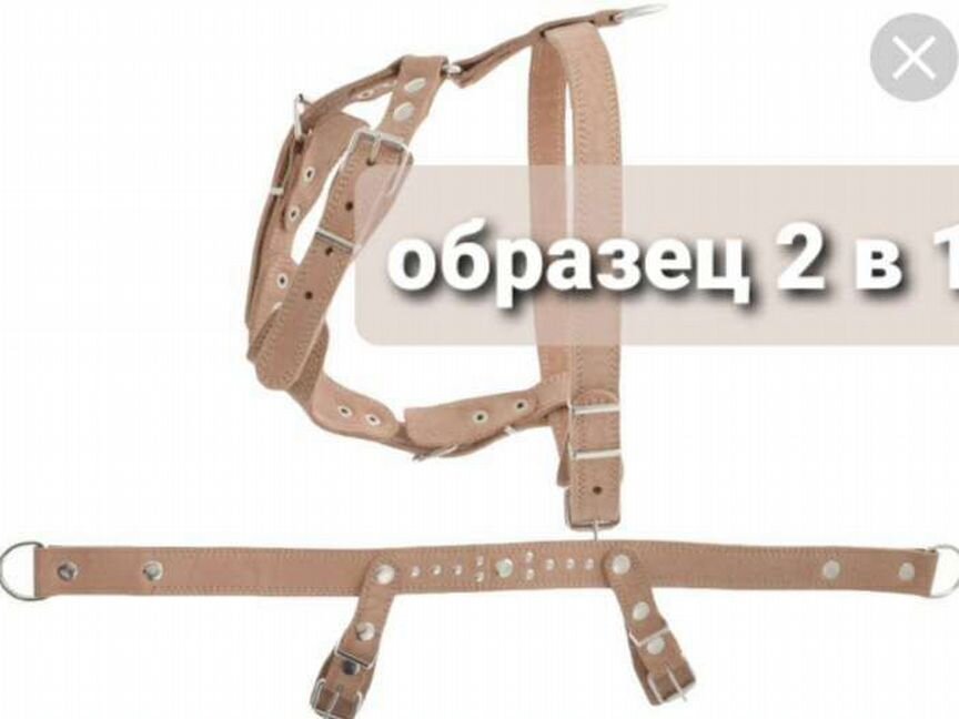 Шлейка 2 в 1 для собак