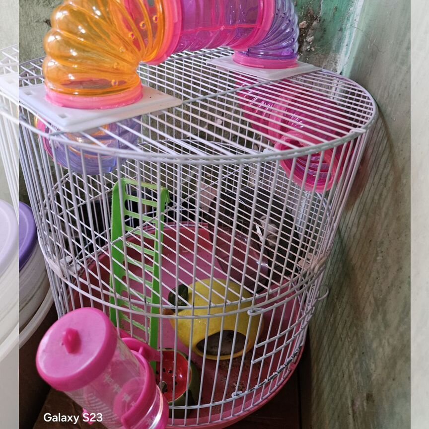 Клетка для грызунов бу