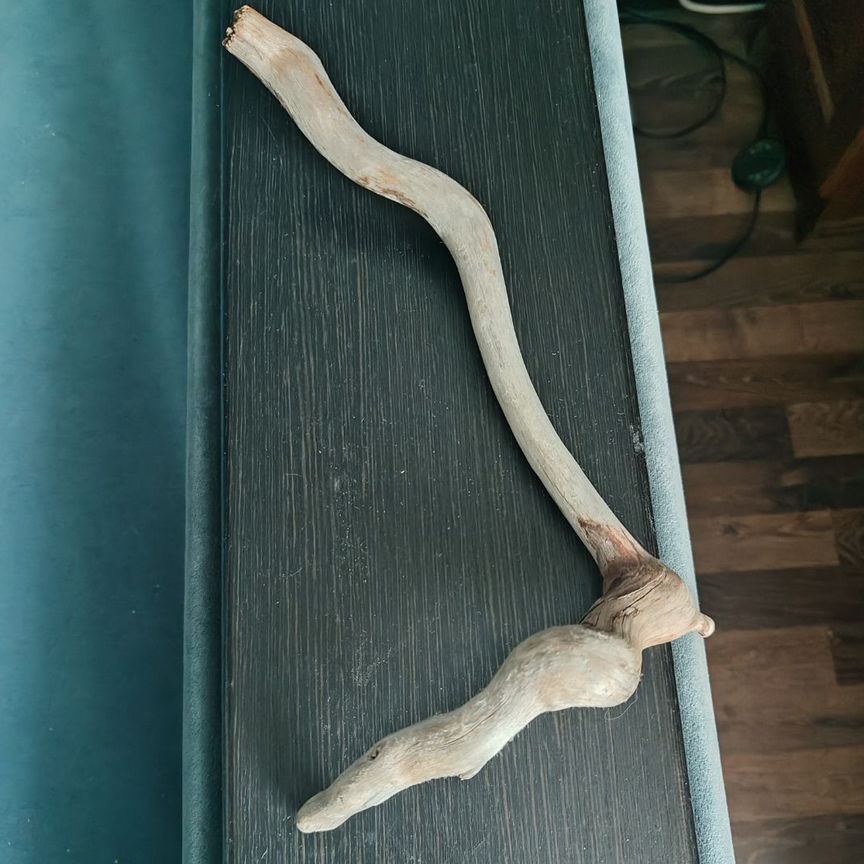 Коряга с Байкала