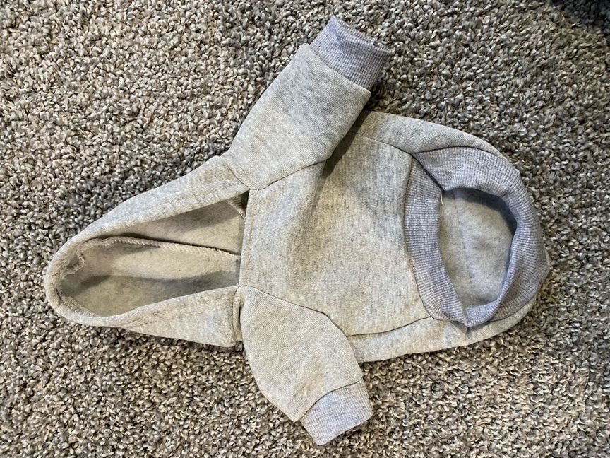 Одежда для животных