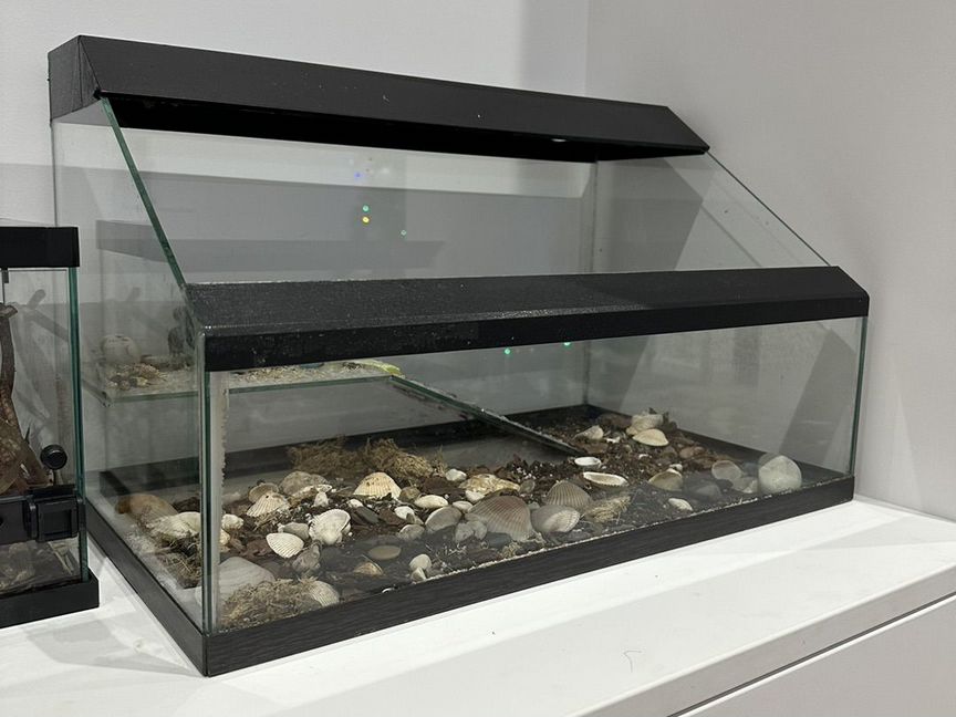 Террариум с мостиком для черепах и рептилий