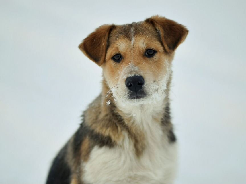 Маруся ищет семью