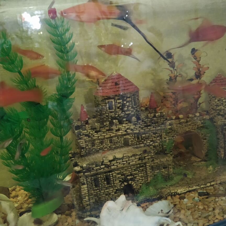 Украшения для аквариума