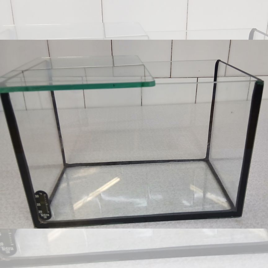 Аквариум отсадник