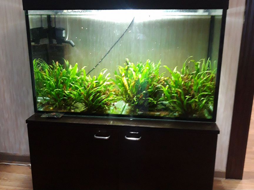 Аквариум 160литров